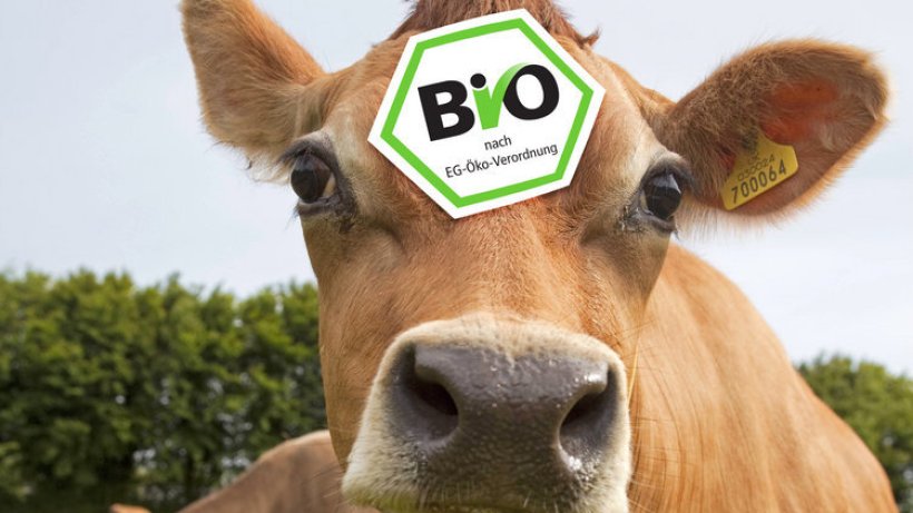 Ist Bio wirklich besser? – Wir essen Pflanzen